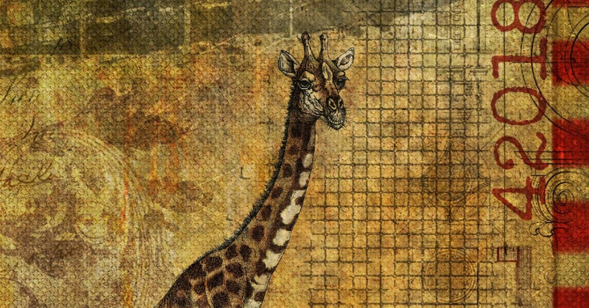 Higher Learning – Stella Sunday Afternoons